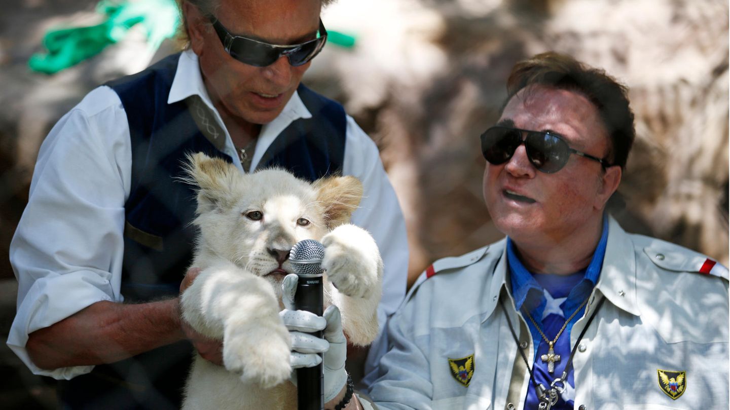 Siegfried und Roy: Tiger, Show und heimliche Liebe - Bilder einer ...