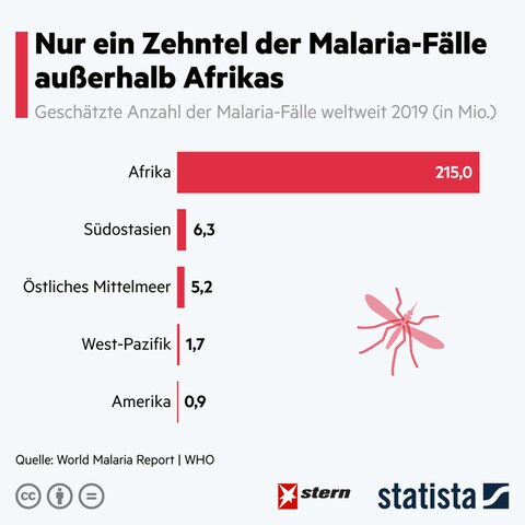 Afrika bleibt der Kontinent mit den meisten Malaria-Fällen | STERN.de