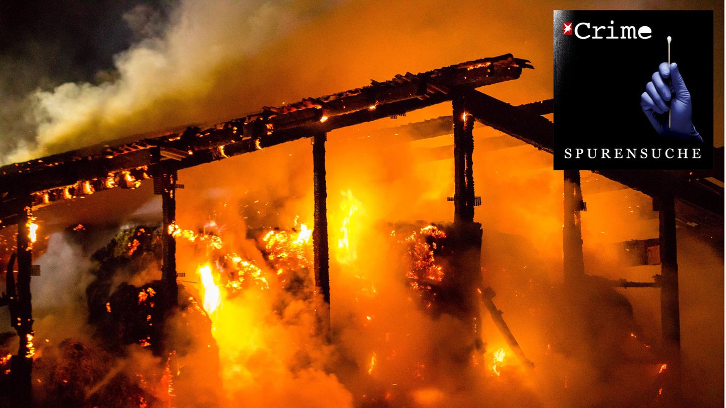 Podcast "Spurensuche": Der Junge im Feuer | STERN.de