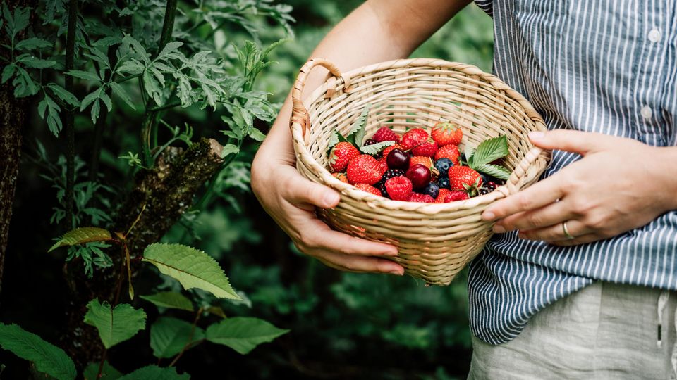 Regionalität | STERN.de