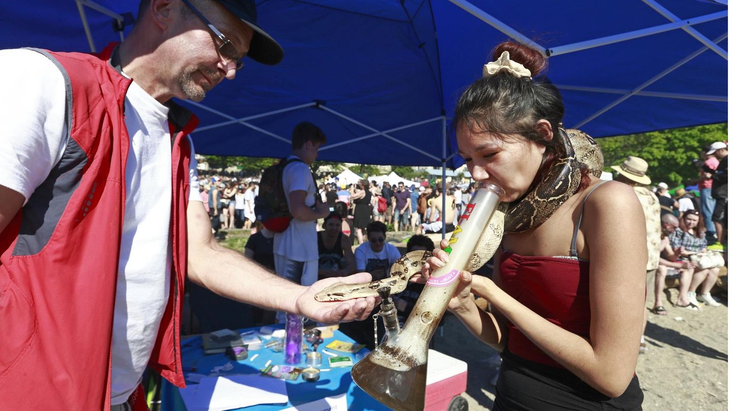 Cannabis: So geht die Welt mit der Alltagsdroge Marihuana um | STERN.de