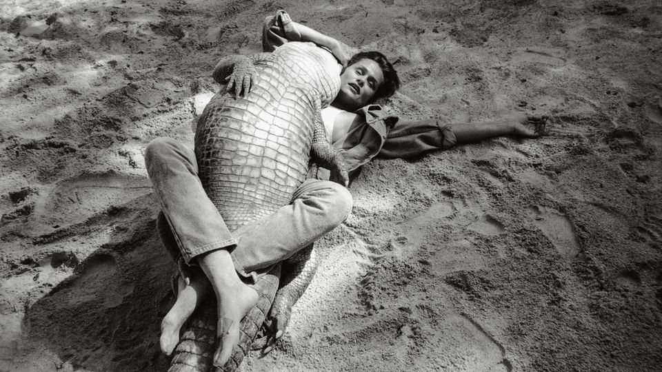 Helmut Newton Bilder
