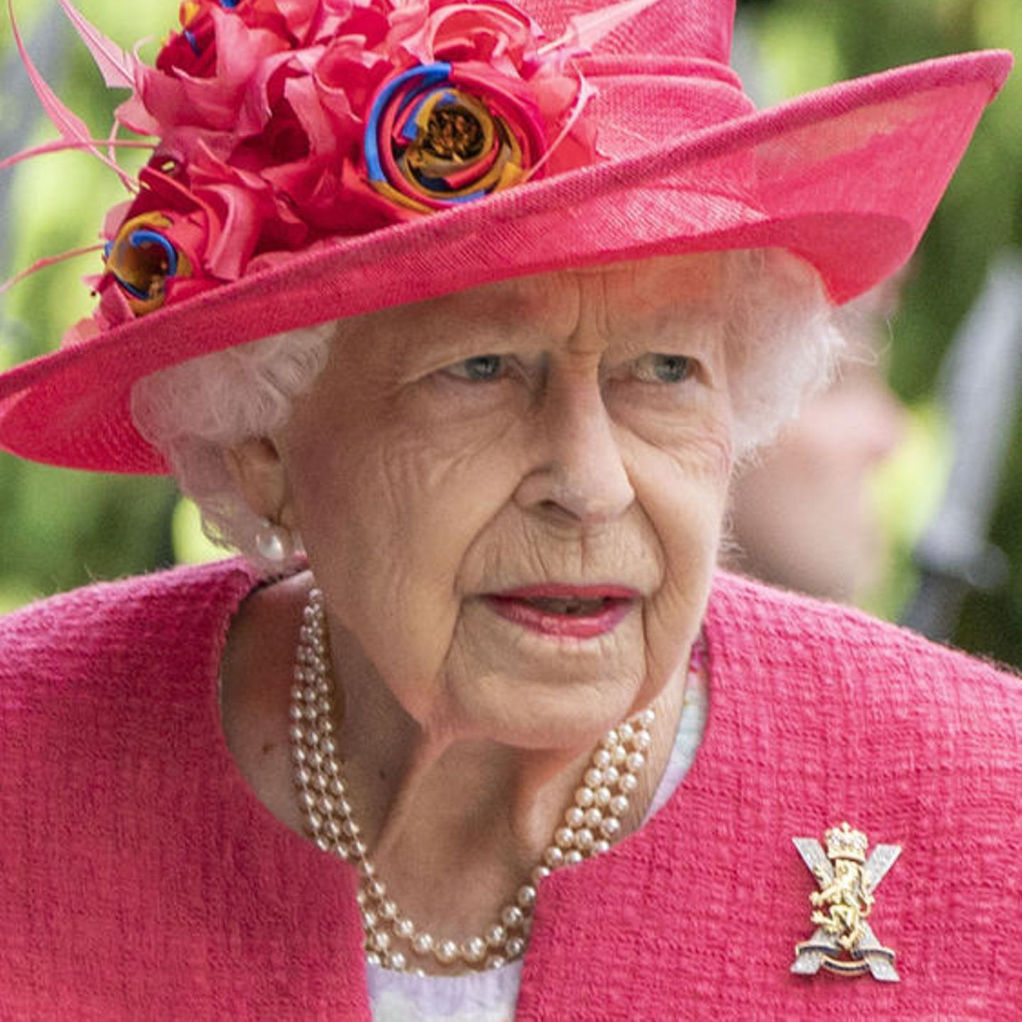 Elizabeth Leben's Instagram, Twitter & Facebook on IDCrawl