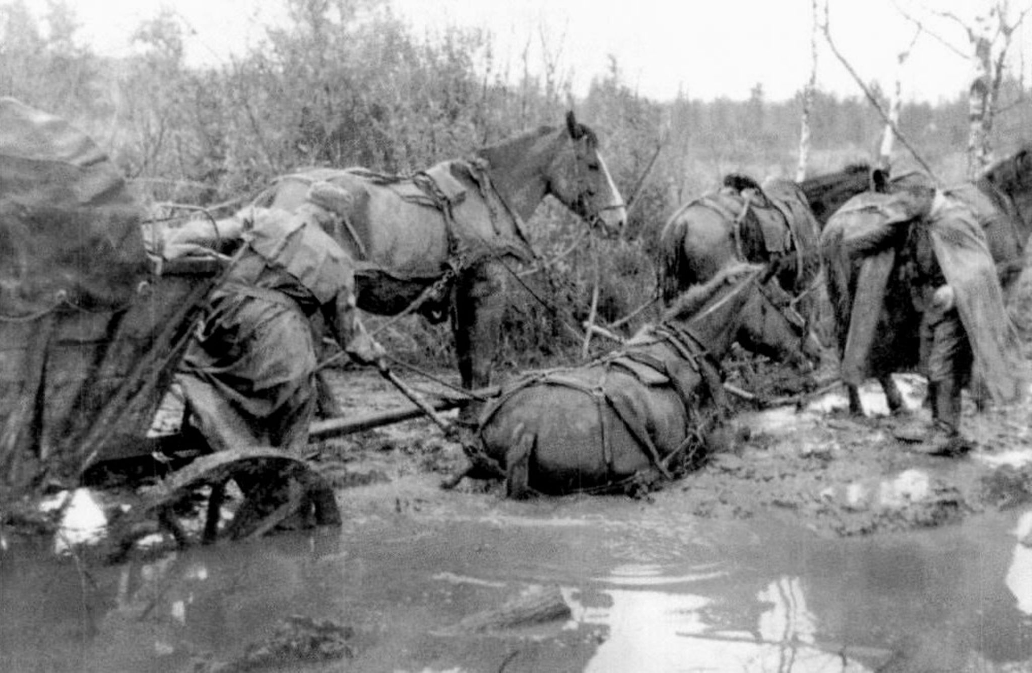Zweiter Weltkrieg: Rasputitsa, das Meer des Schlamms - Fotostrecke 8 ...