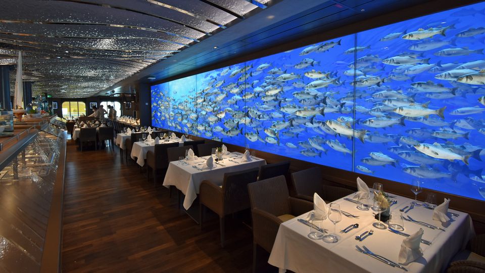 So sieht die neue "Aida Cosma" von Aida Cruises aus | STERN.de