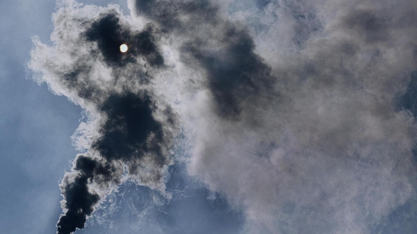 Das Institut des David Sconce | STERN.de