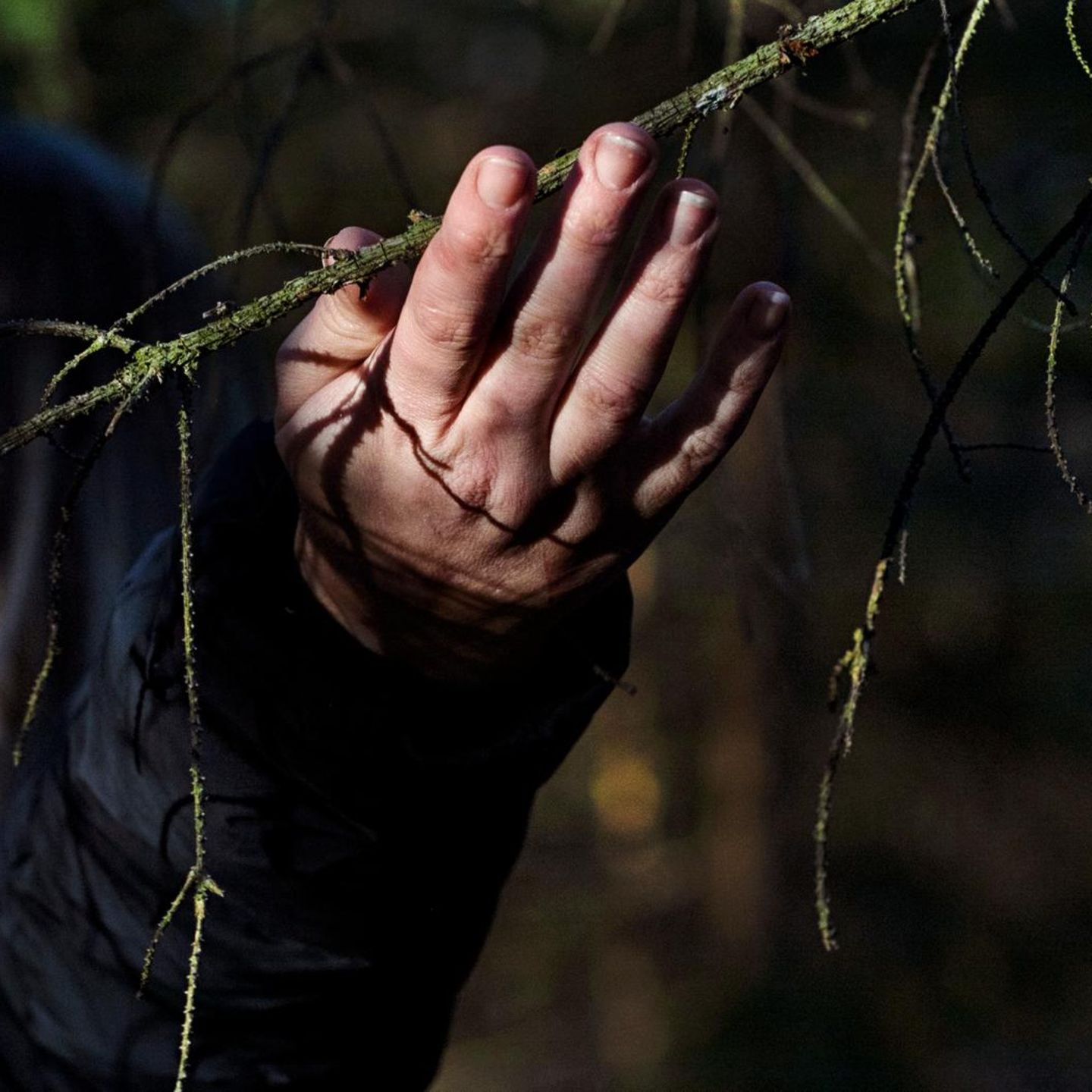 Die Mission der Therese Tang | STERN.de