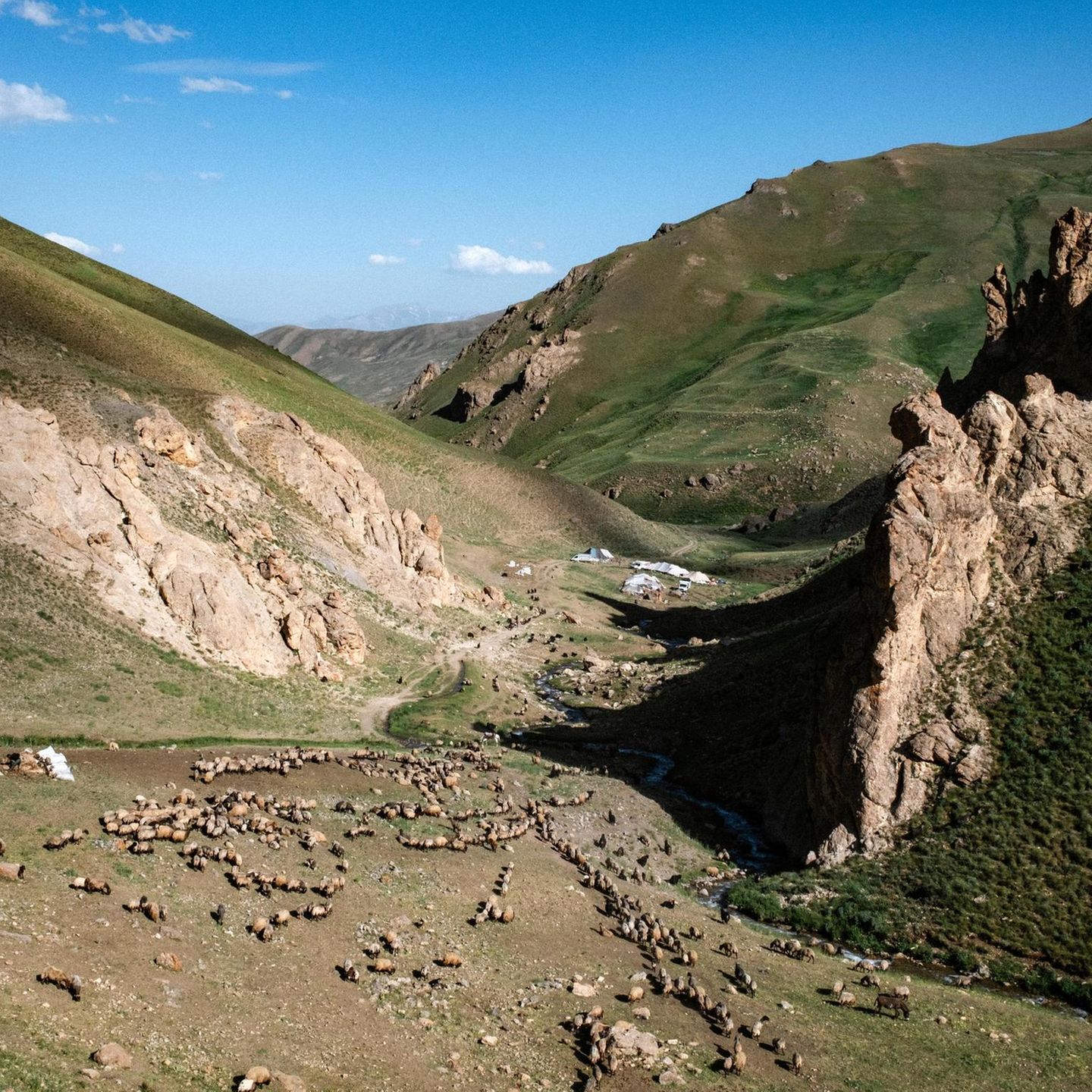 Hirten in Anatolien: Eine "Zeitreise in frühere Jahrhunderte" | STERN.de