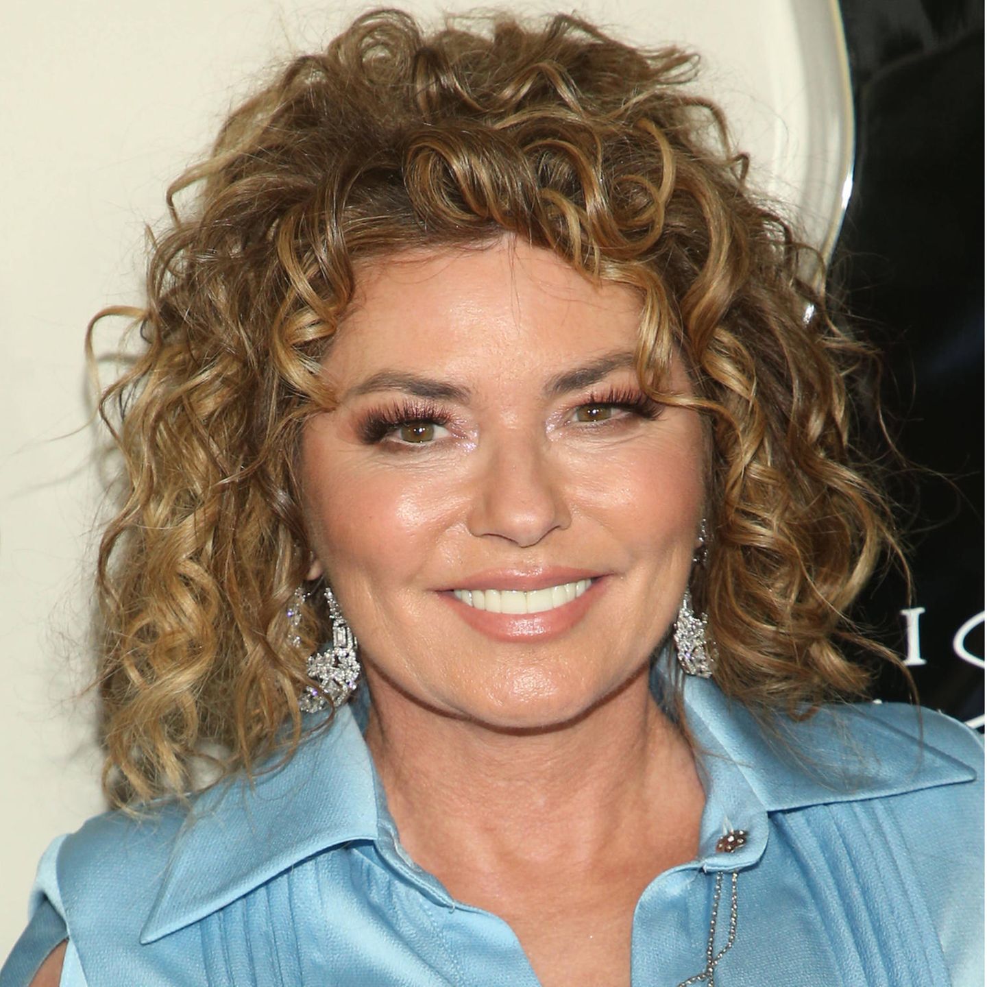 Shania Twain 2001