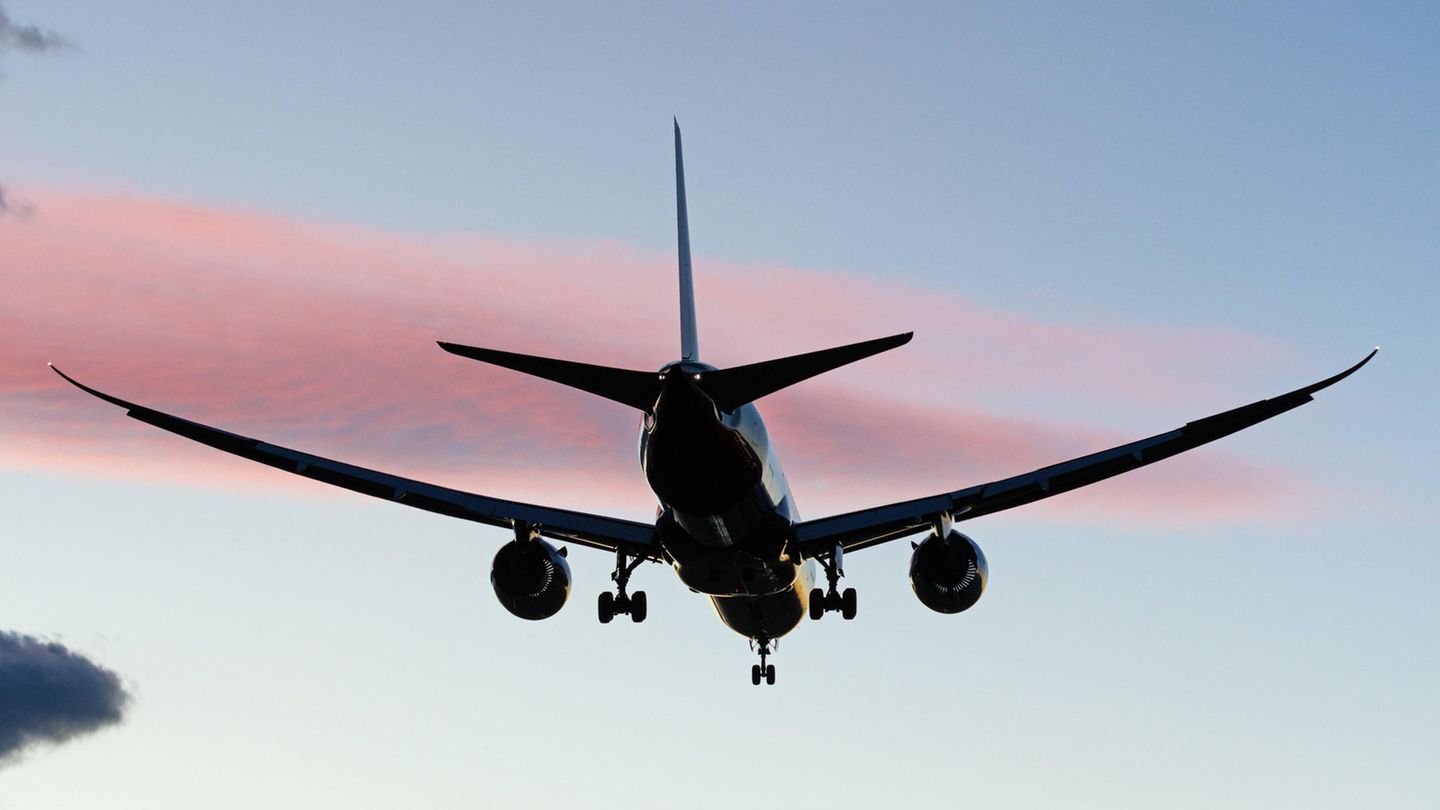 Billig war gestern – Die Preise für Flugtickets erreichen Rekordniveau ...