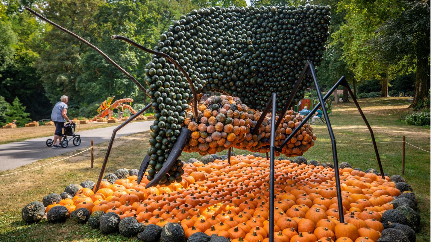 Weltgrößte Kürbis-Ausstellung zeigt riesige Skulpturen aus dem Gemüse ...