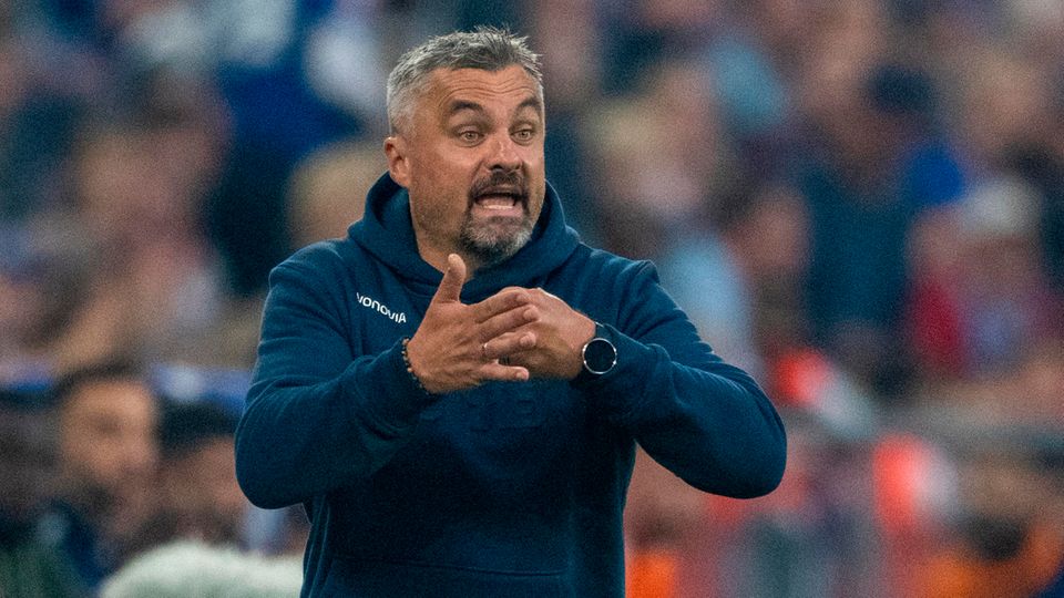 Schalke 04 macht offiziell, dass Thomas Reis neuer Chefcoach wird ...