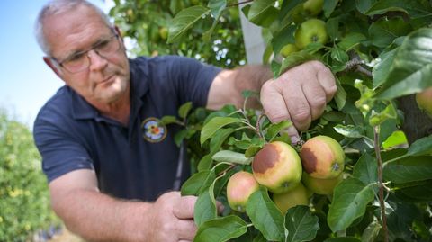 Klimawandel: Hier zeigen sich in Deutschland die Folgen der Erderwärmung (Fotos) | STERN.de