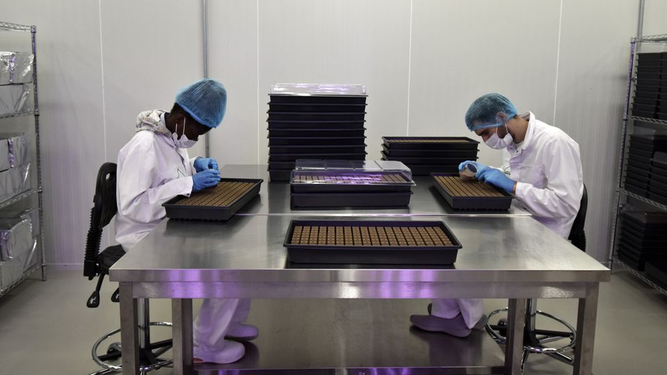 Bustanica in Dubai – so sieht die weltgrößte Hydrokultur-Farm von innen ...