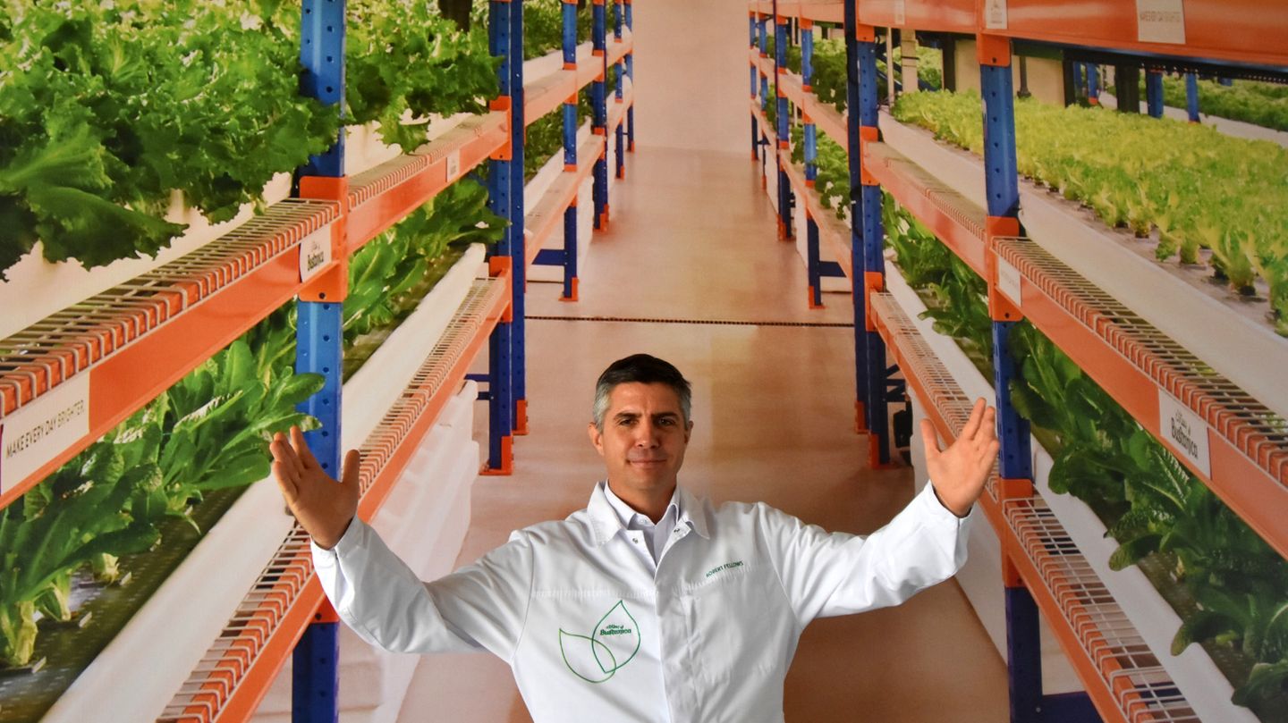 Bustanica in Dubai – so sieht die weltgrößte Hydrokultur-Farm von innen ...