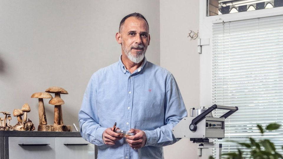 Was gegen Schimmelpilz in der Wohnung tun? Ein Experte gibt Antworten ...