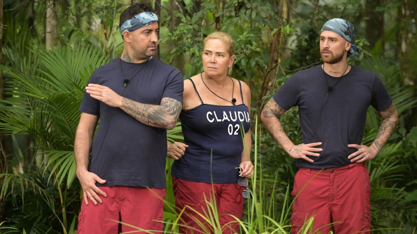 Dschungelcamp 2023: Am Achten Tag Fliegen Zwischen Cecilia Und Tessa 