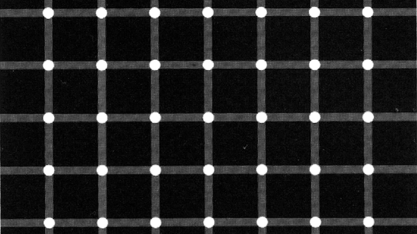 Optische Täuschung: Können Sie die schwarzen Punkte zählen? (Video ...