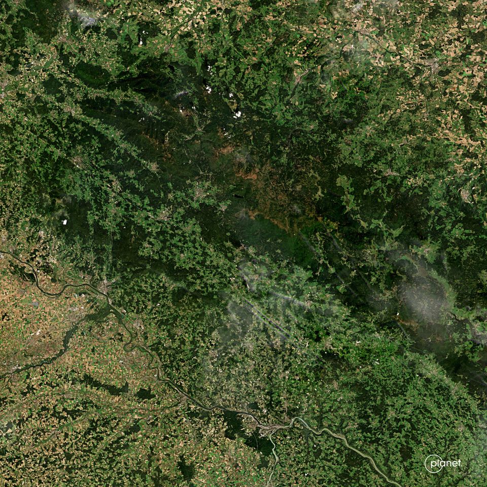 Wälder: Satellitenbilder zeigen, wie bedroht Bäume weltweit sind | STERN.de