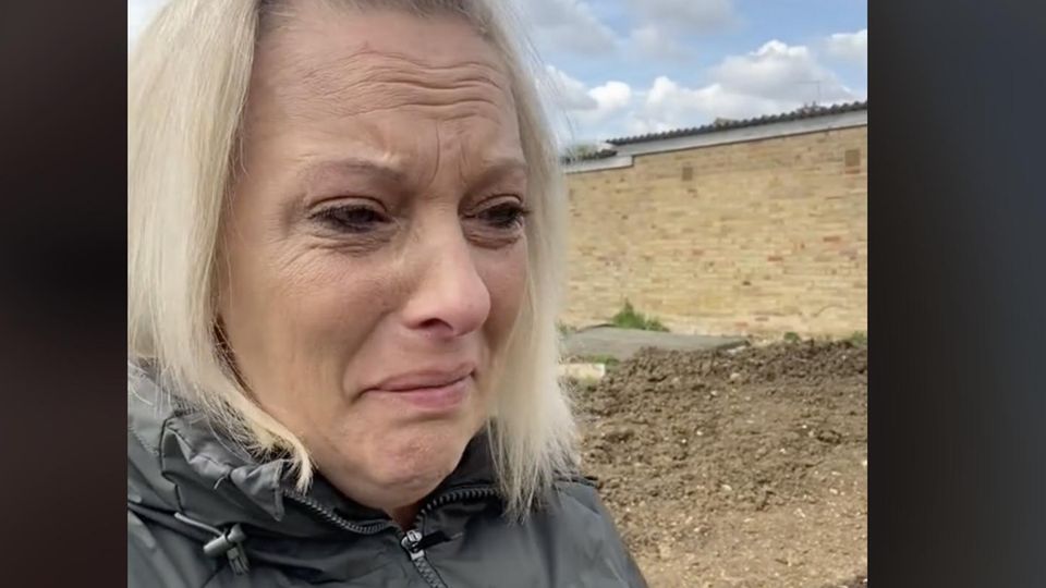 Vandalen zerstören Garten für Bedürftige – dank Spenden geht das ...