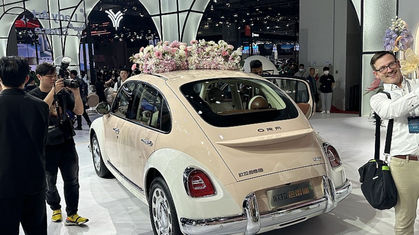 Introducing Ora Ballet Cat: Woman Understanding - 24 Hours World