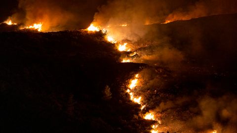 Griechenland: Brände auf Rhodos und Euböa toben weiter | STERN.de