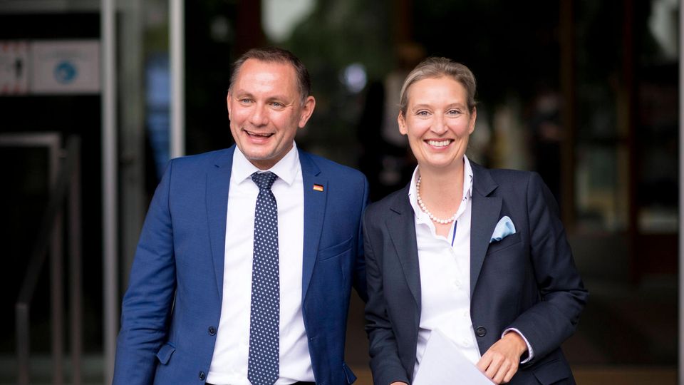 Wie die AfD über die Jahre immer radikaler wurde – eine Chronik | STERN.de