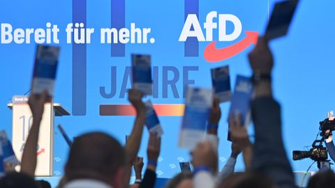 Wie die AfD über die Jahre immer radikaler wurde – eine Chronik | STERN.de