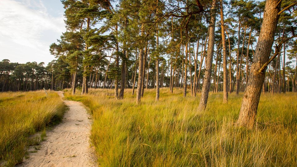 Wandern: Die schönsten Wanderwege in Deutschland | STERN.de