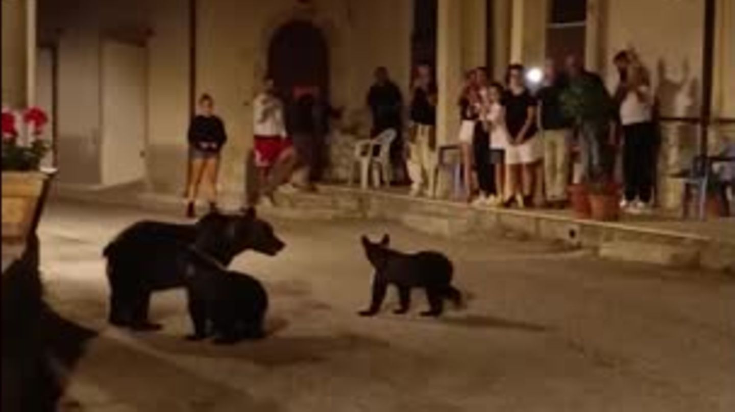 Bergdorf in Norditalien: Mit Nachwuchs im Gepäck: Hier kommt Mama Petz ...