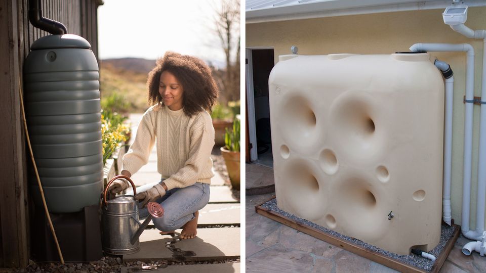 Regentonne: Drei wichtige Tipps zum Sammeln von Regenwasser | STERN.de