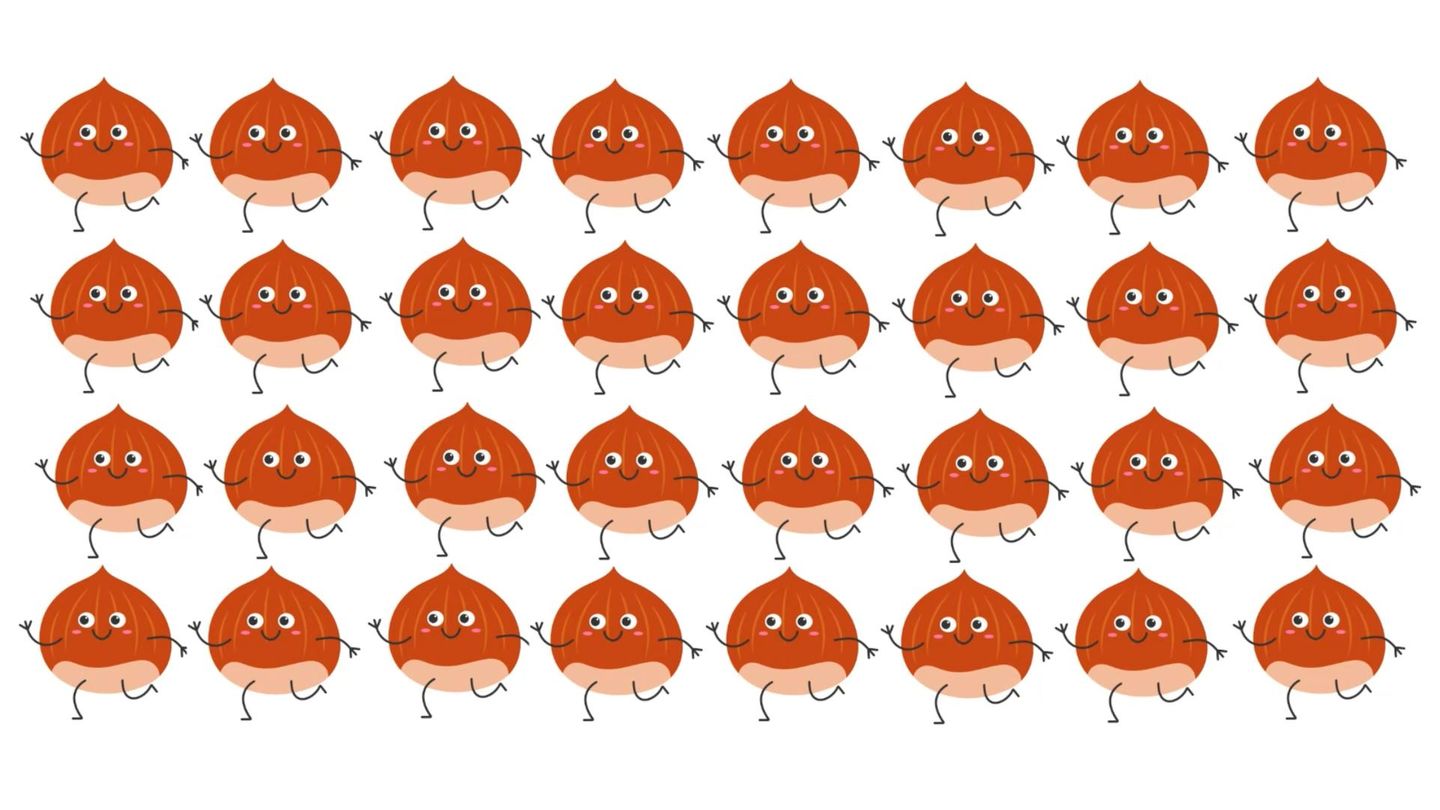 Augentest: Suchbild: Erkennen Sie, welche Kastanie sich von den anderen ...