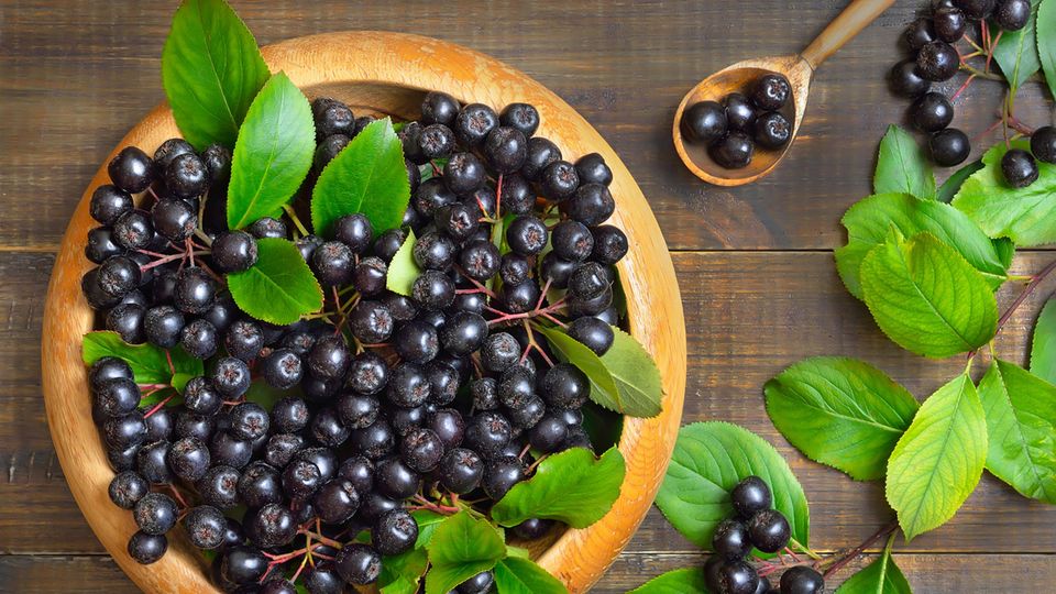 Mit Aronia in den Winter – diese Beere ist gesund für Groß und Klein ...