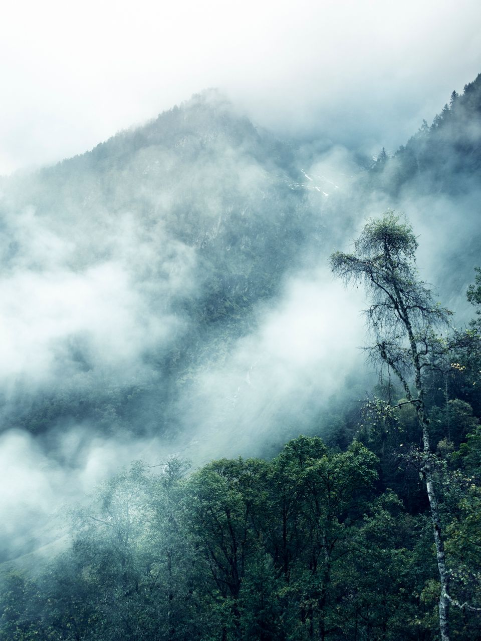 Tina Trumpp: Landschaftsfotografien von der Meisterin der Erotik | STERN.de
