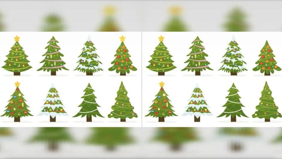Augentest: Finden Sie die Fehler zwischen den Tannenbäumen? | STERN.de