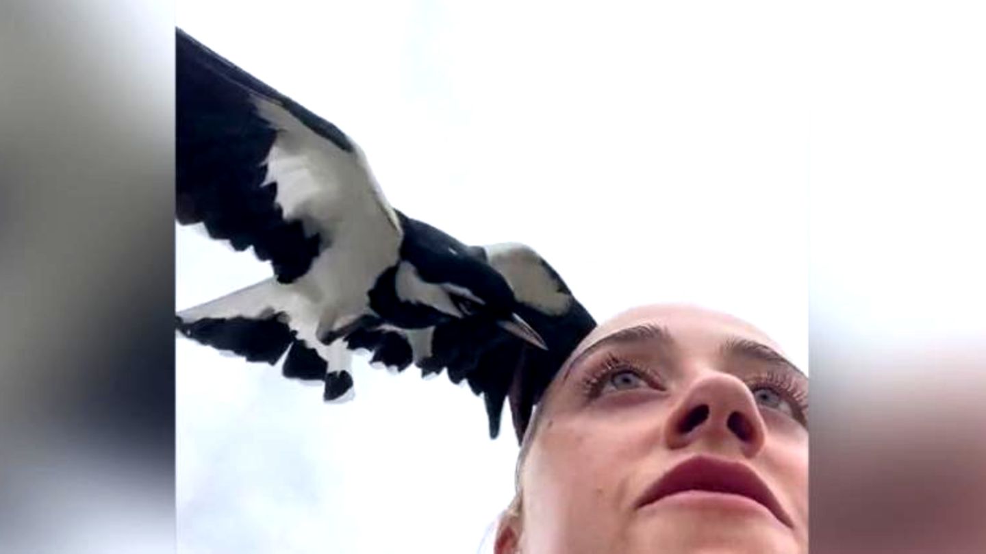 Australien: Tiktok-Video – Fitness-Influencerin von Vogel attackiert ...