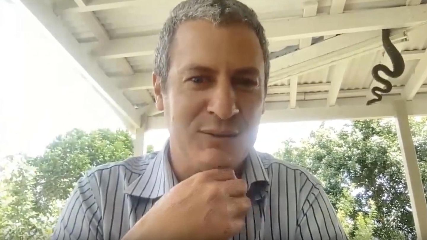 Australien: Python baumelt plötzlich vor laufender Kamera in Podcast ...