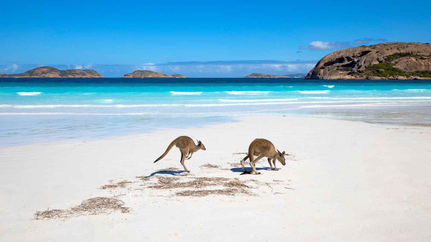 Quer durchs Outback: Die schönsten Roadtrips durch Western Australia ...