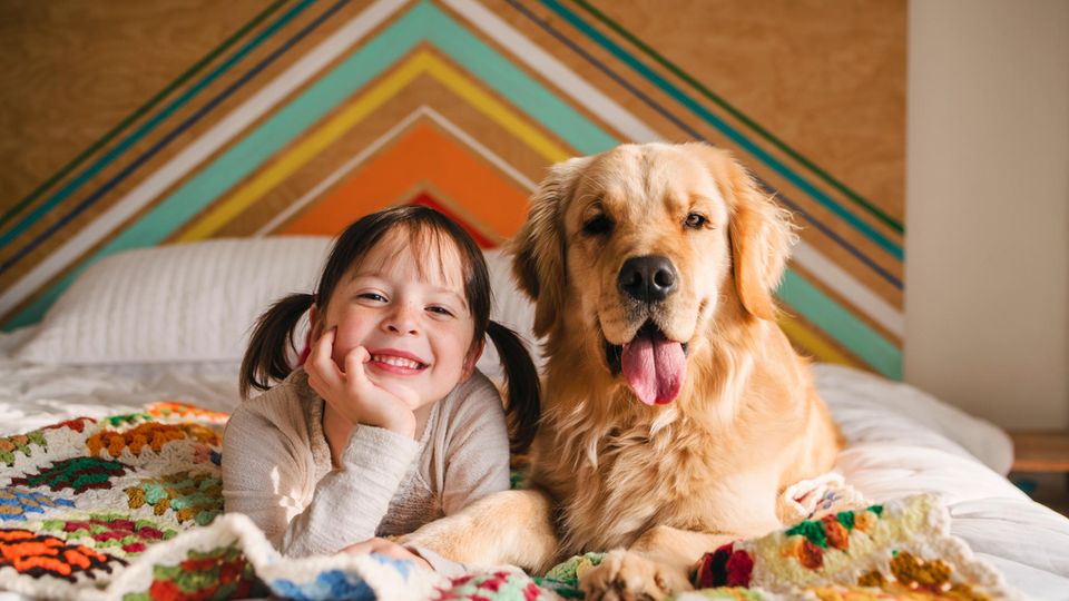 Bobi: Angeblich ältester Hund der Welt verliert seinen Rekord-Titel ...