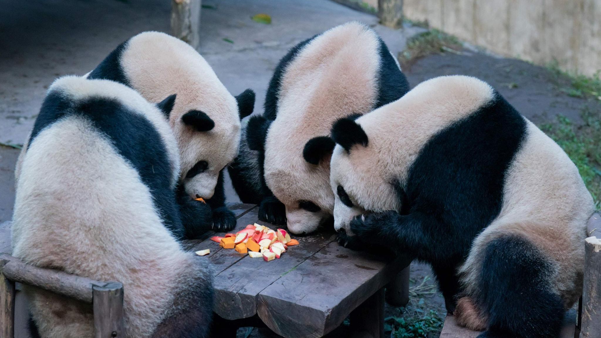 Bilder des Tages: die besten Bilder aus der ganzen Welt | STERN.de