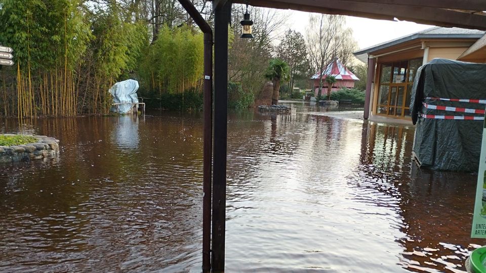 Hochwasser in Deutschland: Kanzler Scholz reist in betroffene Gebiete | STERN.de