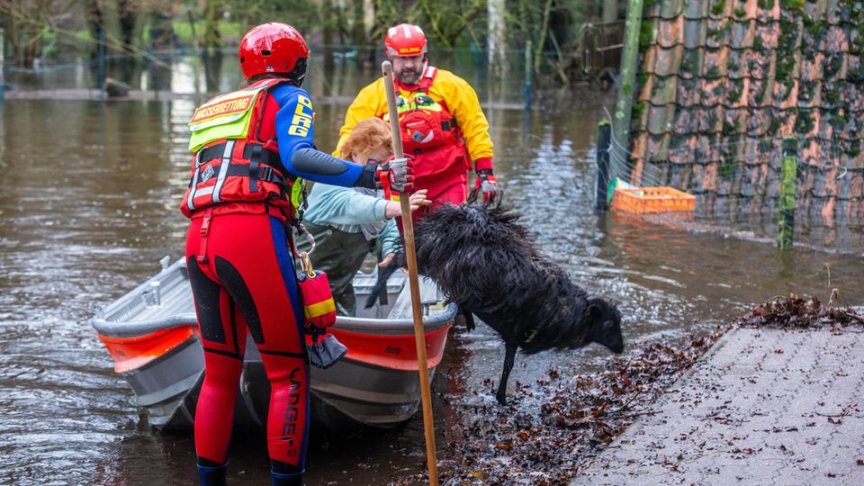 Hochwasser in Deutschland: Kanzler Scholz reist in betroffene Gebiete | STERN.de