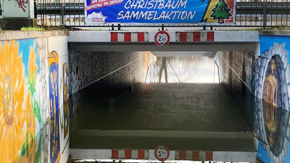 Hochwasser in Deutschland: Kanzler Scholz reist in betroffene Gebiete | STERN.de