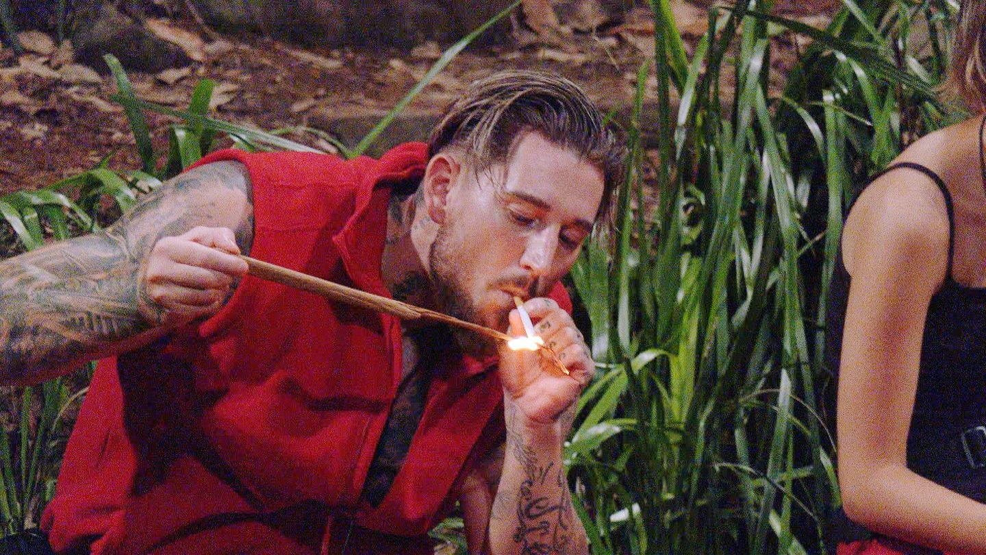 Dschungelcamp 2024: Im Urwald steppt der Bär | STERN.de