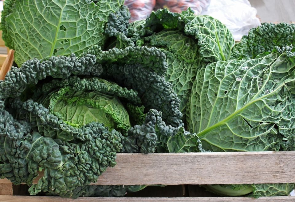 Gesunde Ernährung: Welche Lebensmittel gehören auf den Plan | STERN.de