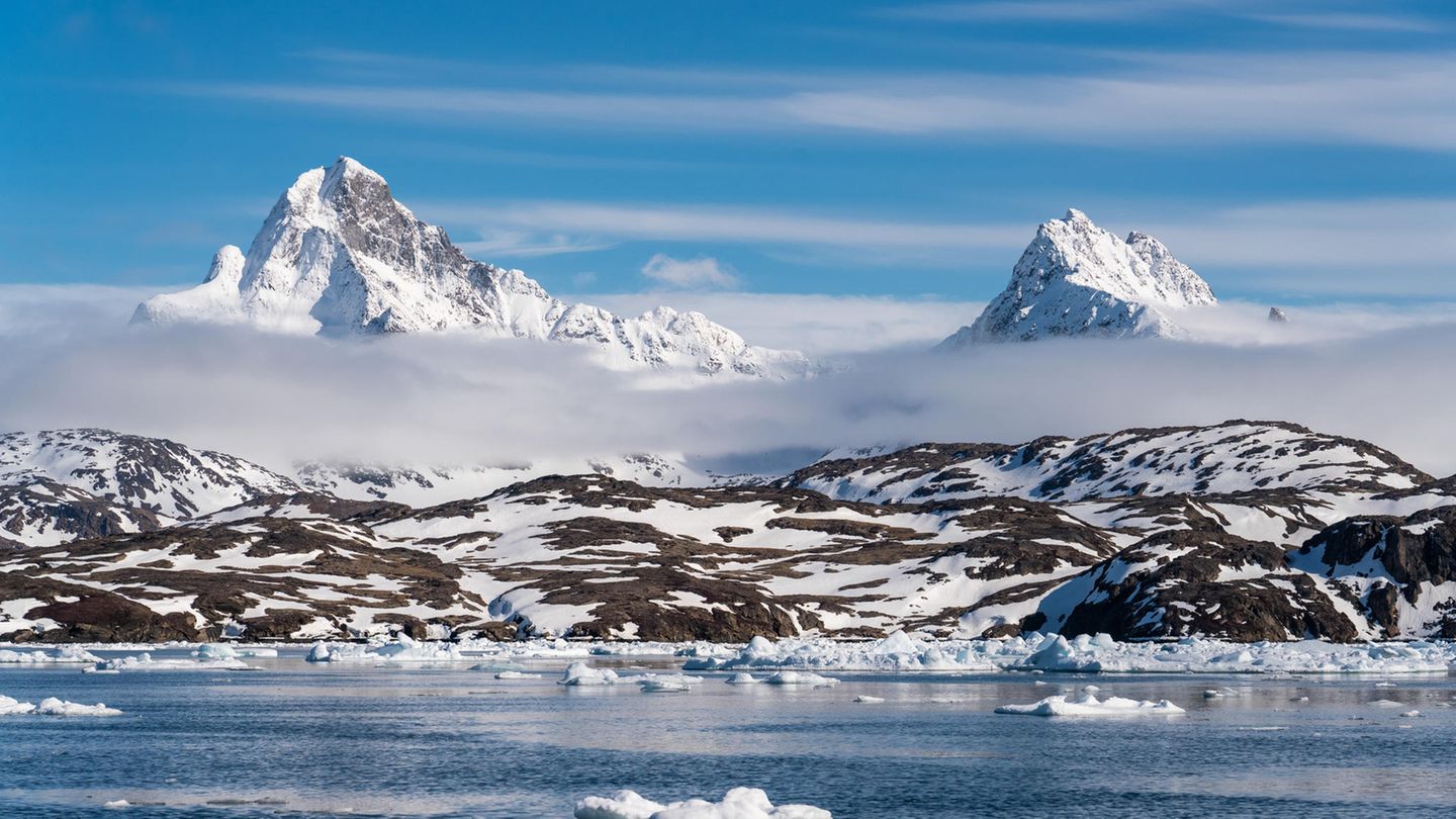 Im Revier der Eishaie: Eine Bilderreise in die beeindruckenden Tiefen ...