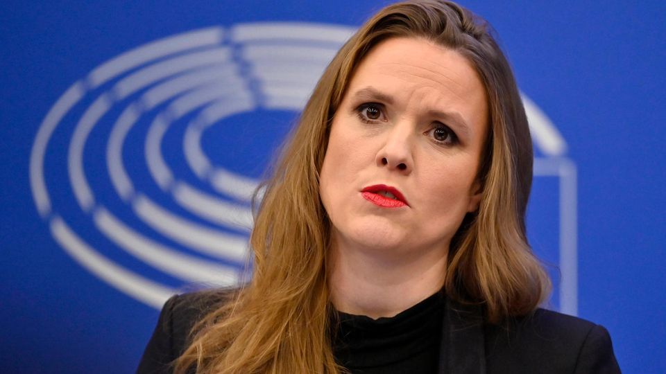 Terry Reintke: Stolpert die Grünen-Politikerin über den Fall Gallée ...