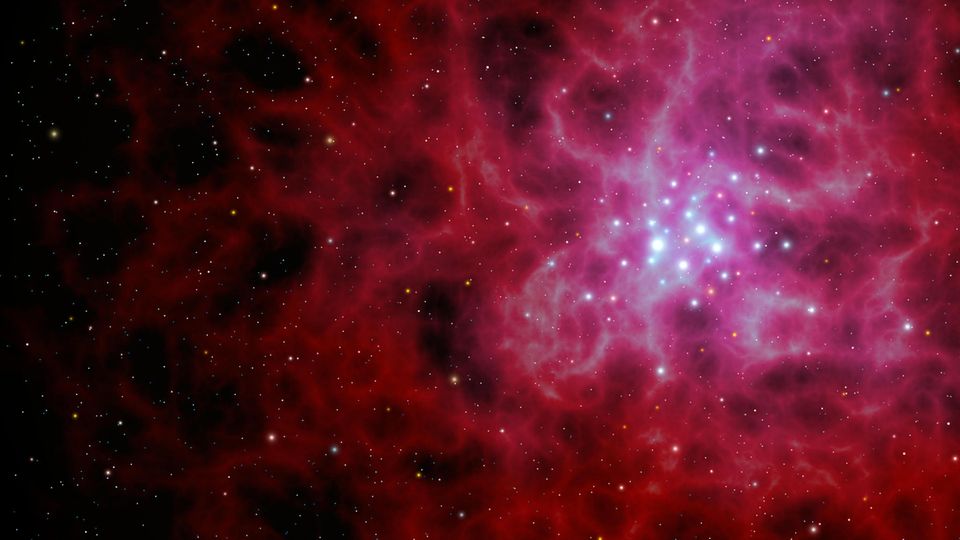 Roter Riese und Weißer Zwerg – bevorstehende Nova soll mit bloßem Auge ...