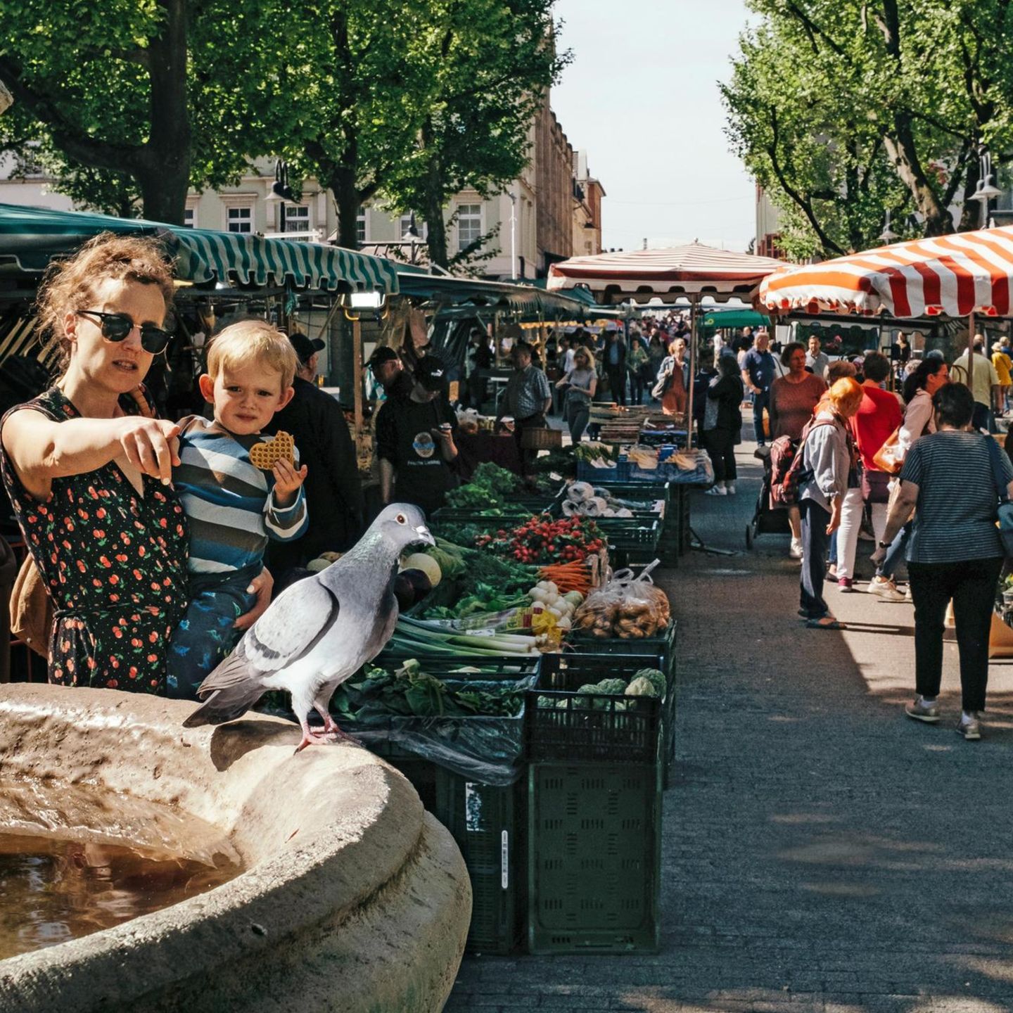 Jonas Fedders | STERN.de