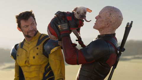 Kino-Hit "Deadpool & Wolverine": Heimlicher Held ist eine Hündin | STERN.de